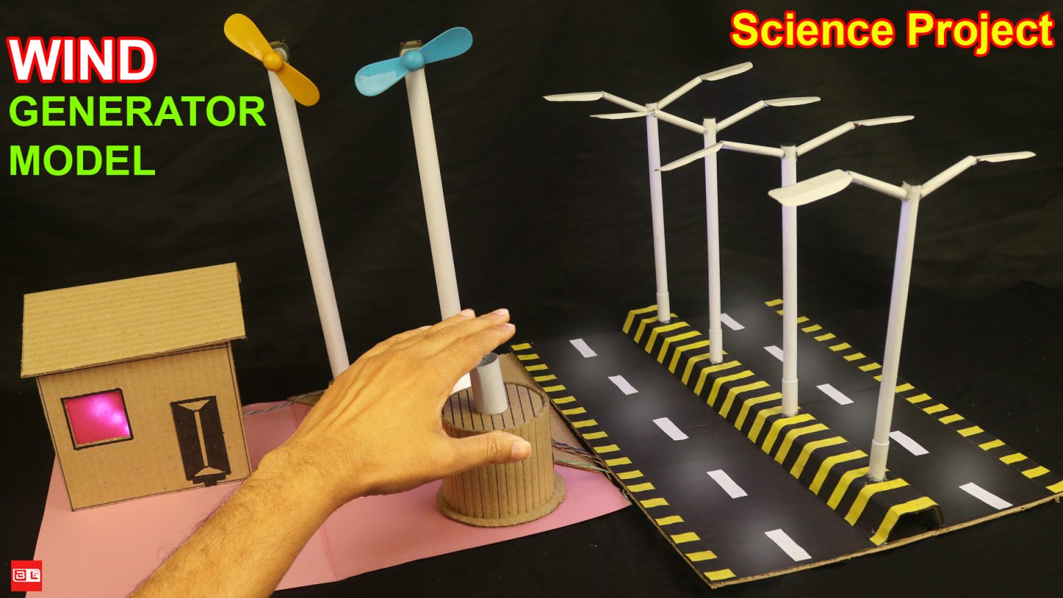 Science Project - Beginner Life DIY